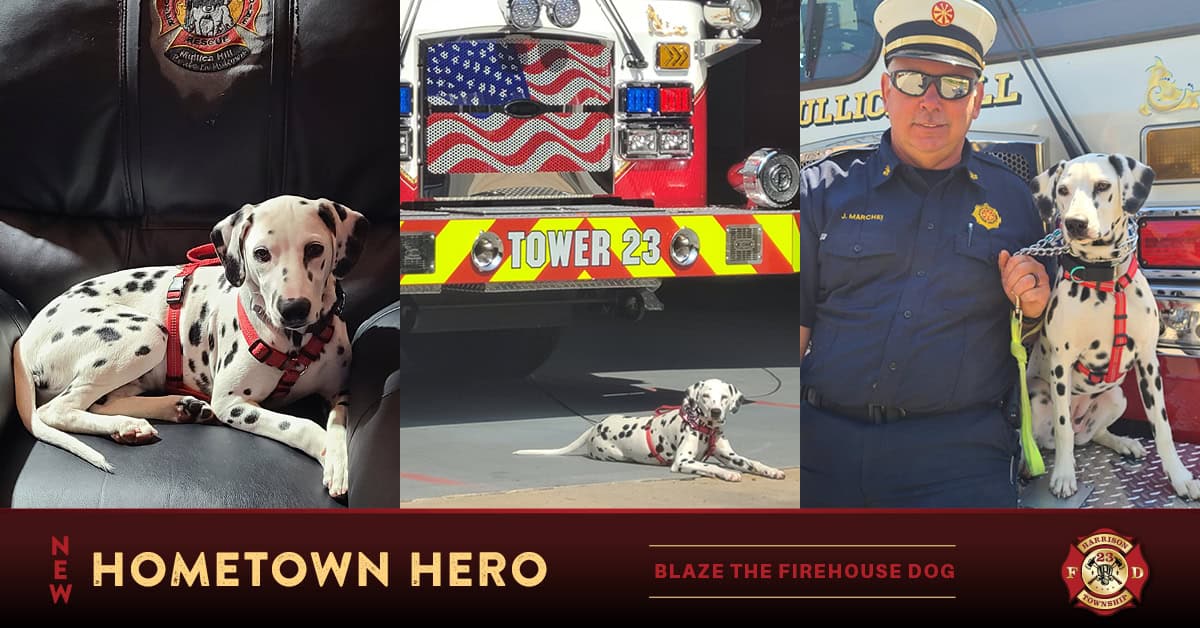 Firehouse Dog A History Of Fire Dogs And The Lives They've Saved | The